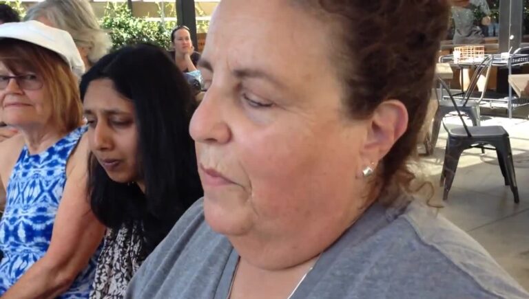 close reading of section IX of Stevens’s “Thirteen Way of Looking at a ...